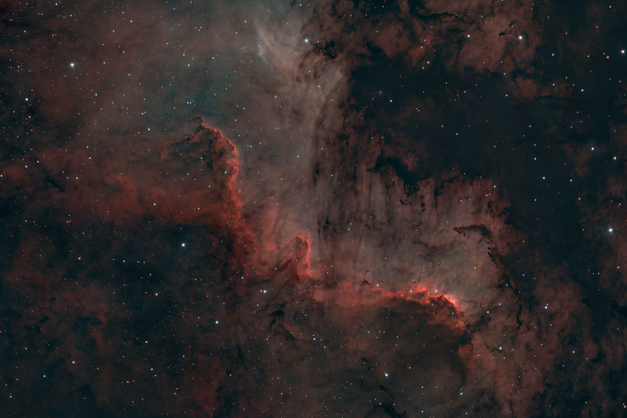 Cygnus Wall – Deep Sky Imaging – Buffalo Astronomical Association Forum